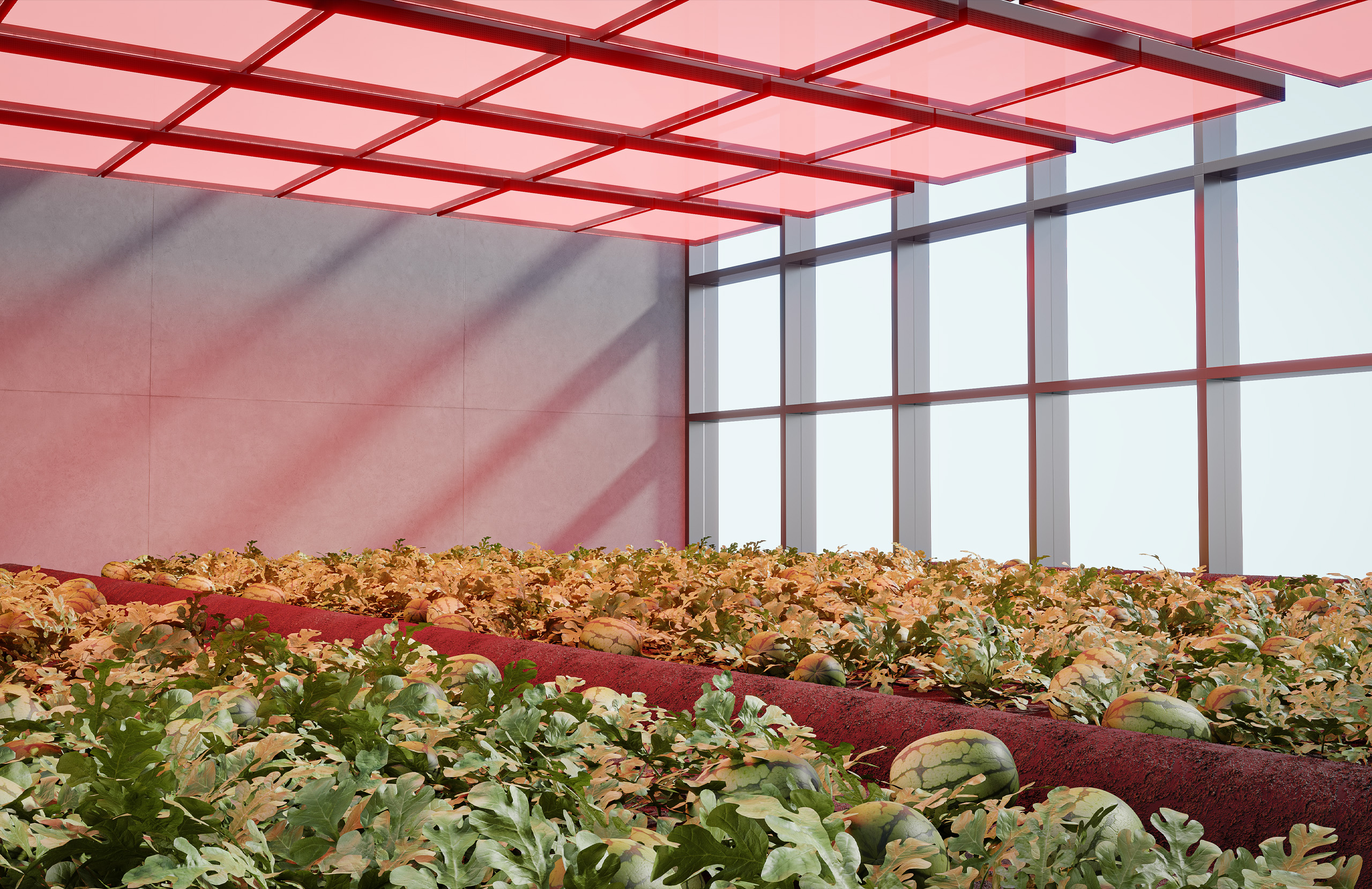 iF Design - Energy-saving Smart Plant Lighting iF Design - Energy-saving Smart Plant Lighting