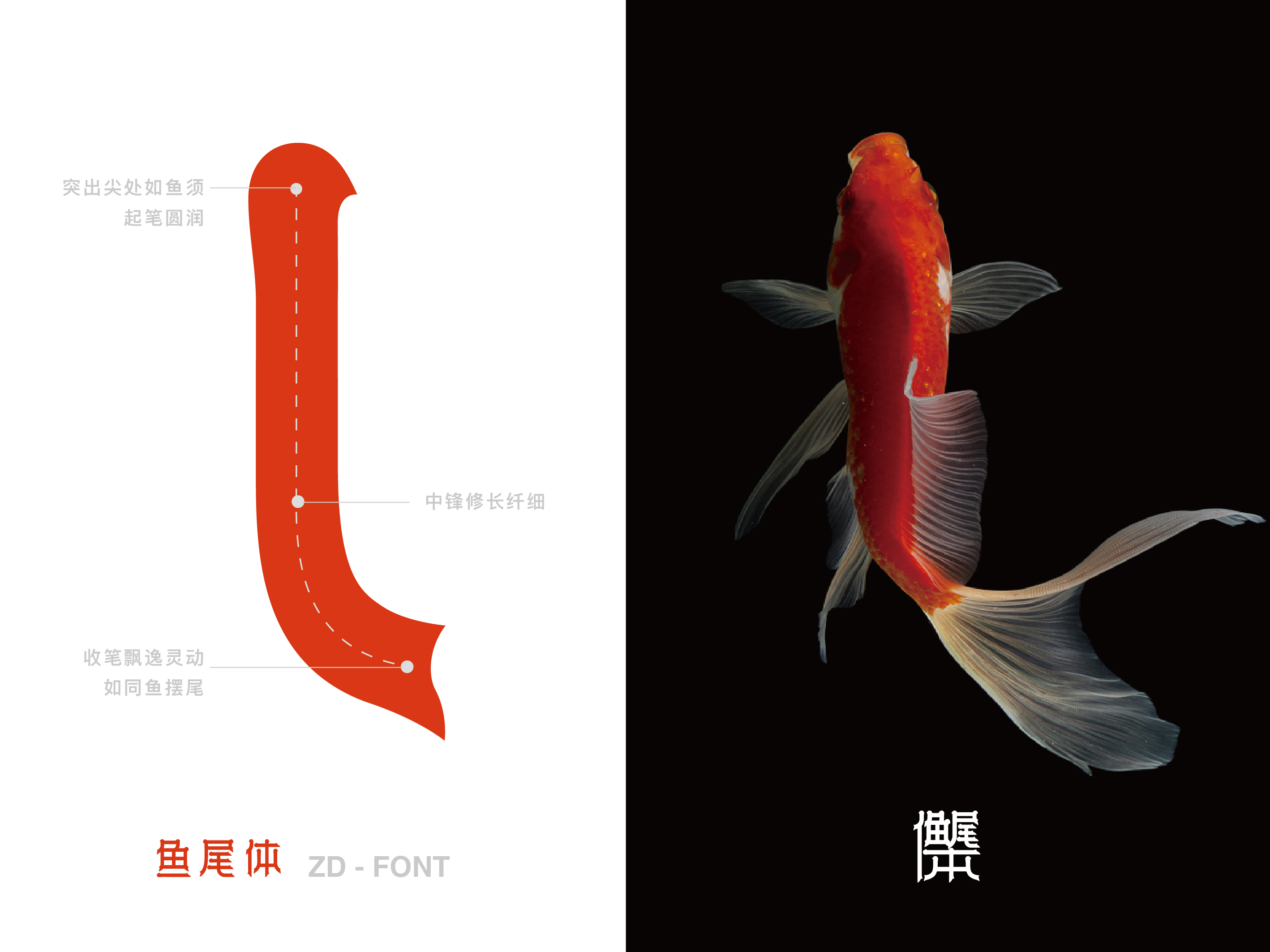 iF Design - ZD fishtail font