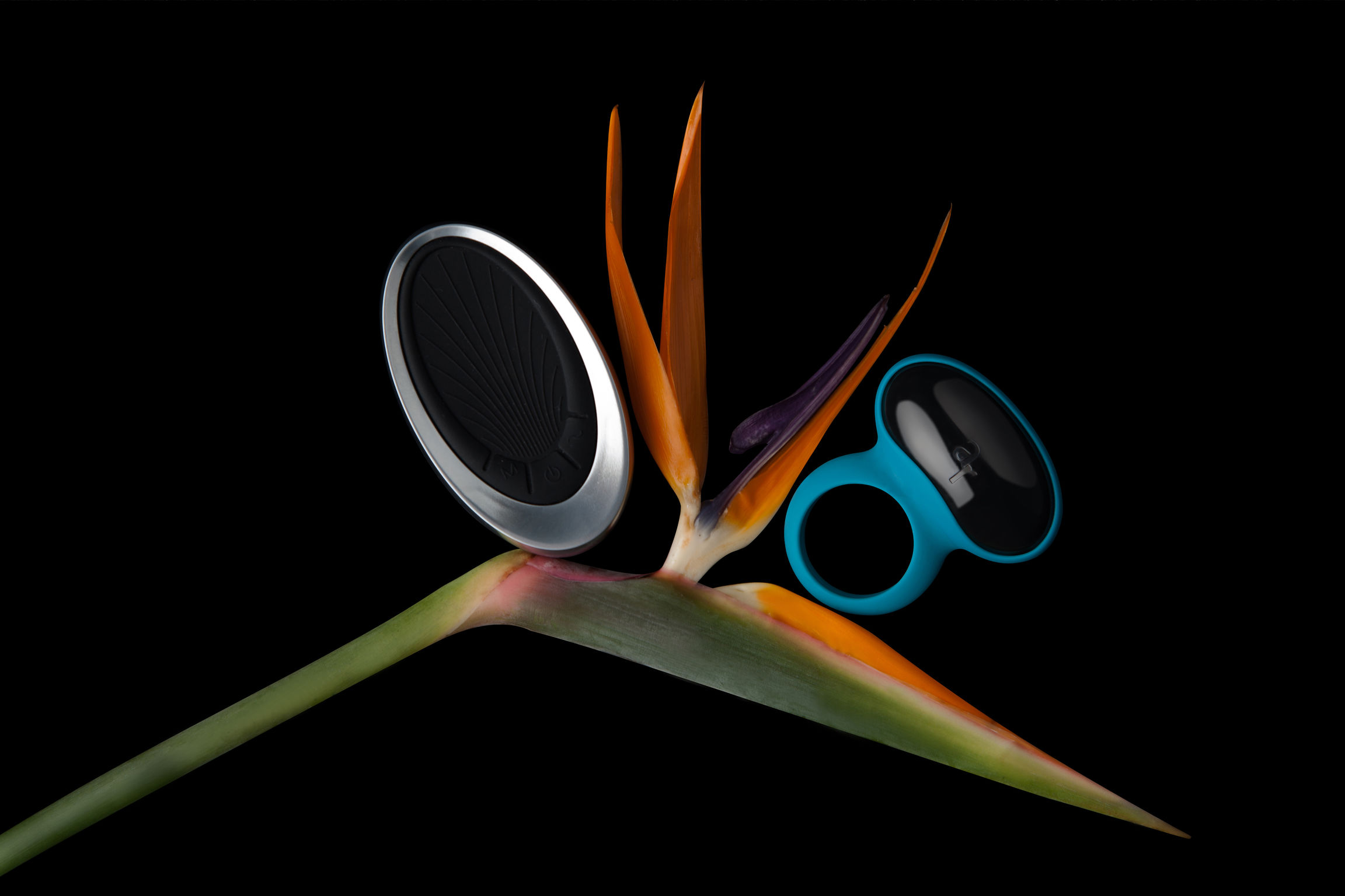 iF Design - Paramour Set