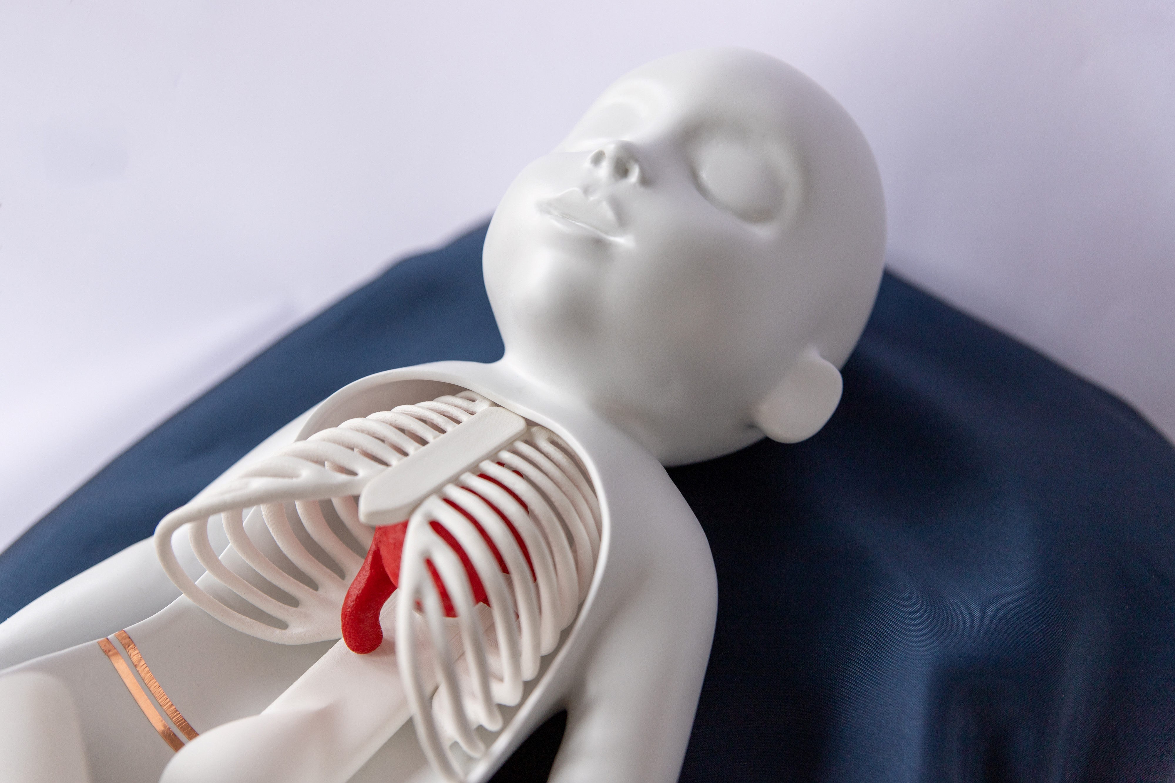 iF Design - ImPulse - New Paradigm for Heart Surgery Training