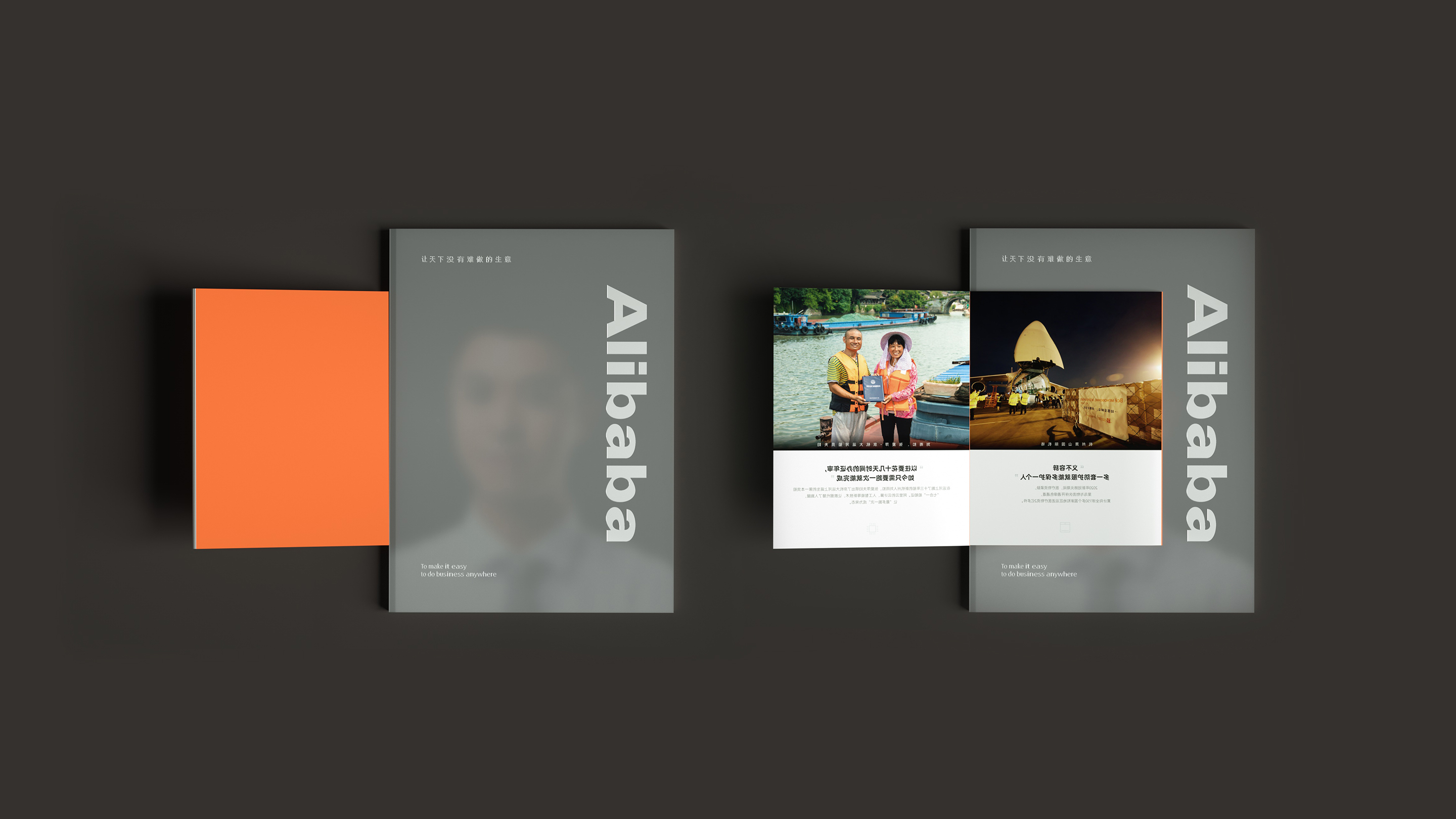 iF Design - Alibaba group brochure
