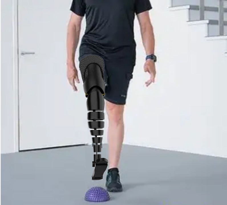 iF Design - Concomitant growth prosthesis