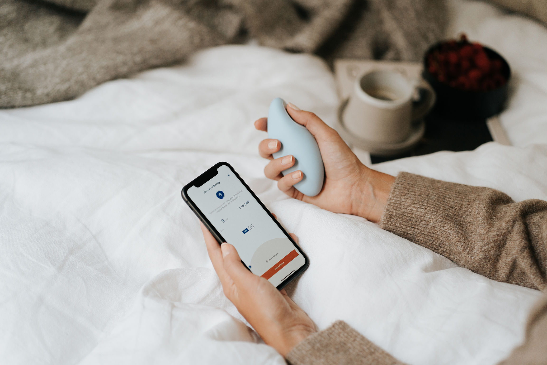 iF Design - Moonbird