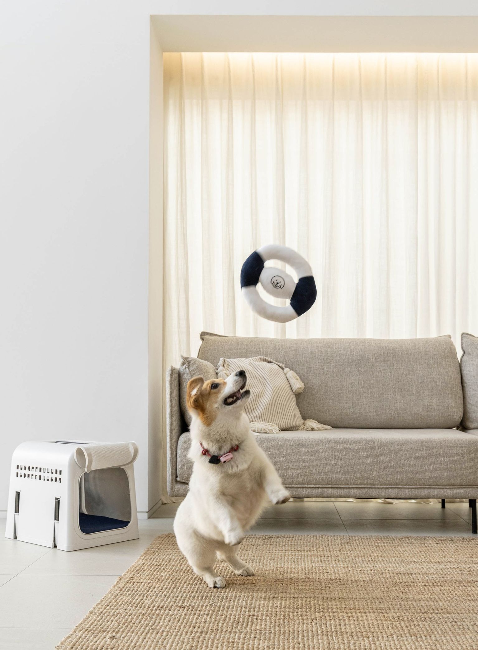iF Design - Hyundai Collection - Portable Pet House